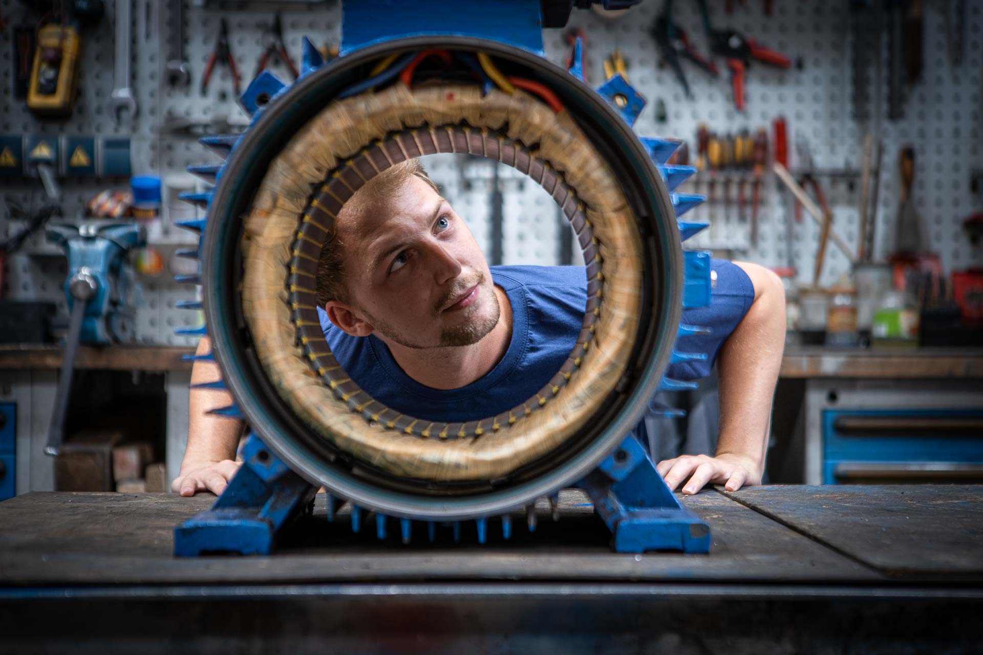 EMZ - electric motors for high voltage and low voltage